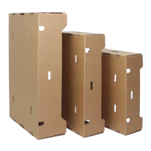 Carton Boxes – Pack Craft